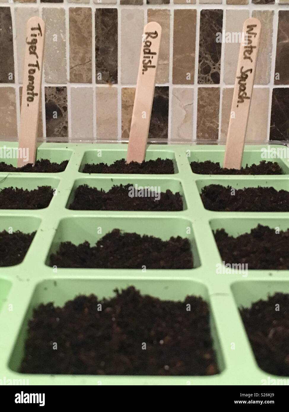 Vegetable seeds hi-res stock photography and images - Alamy