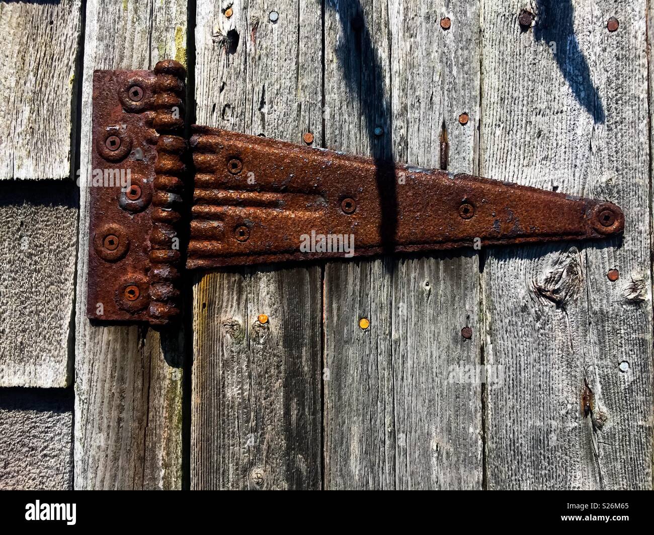 Rusty Door Hinge