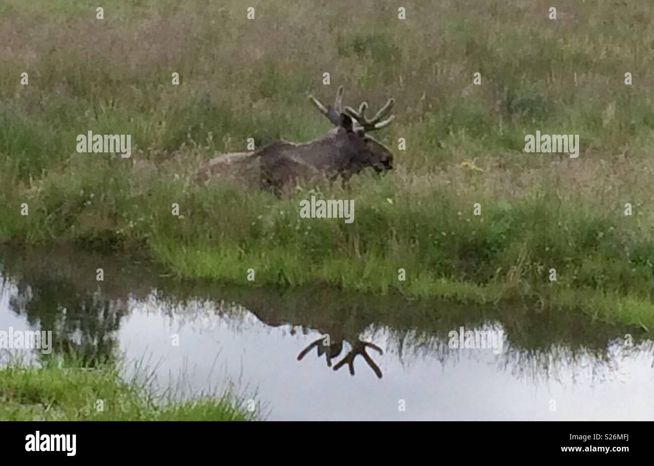 Eurasian culture hi-res stock photography and images - Alamy