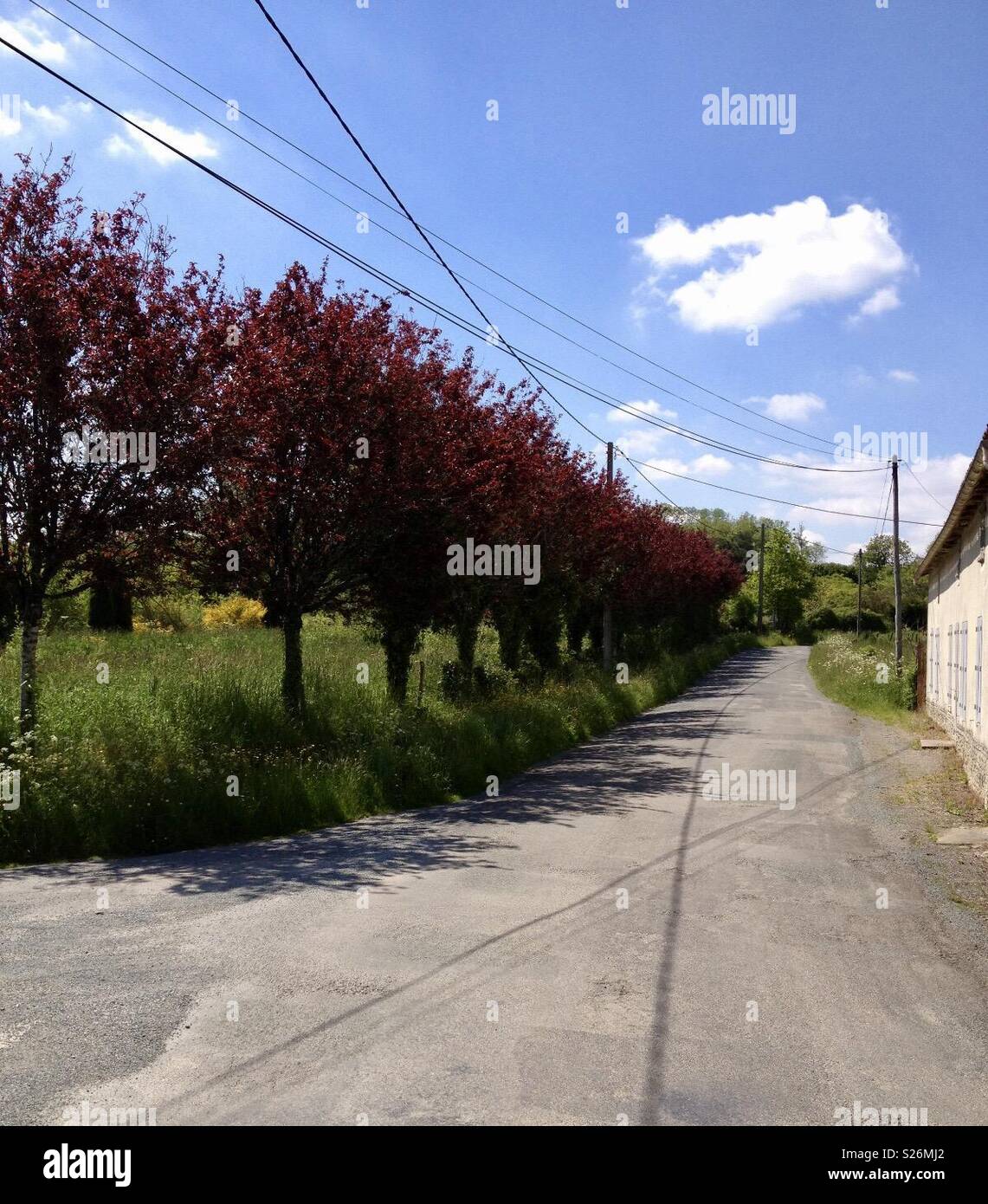 L’absie. Deux-Sèvres. French countryside Stock Photo - Alamy