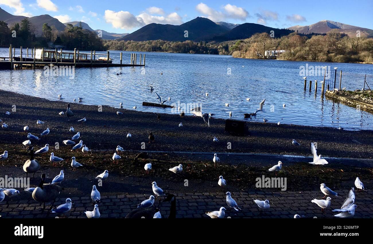 Keswick derwentwater Lake District Stock Photo - Alamy