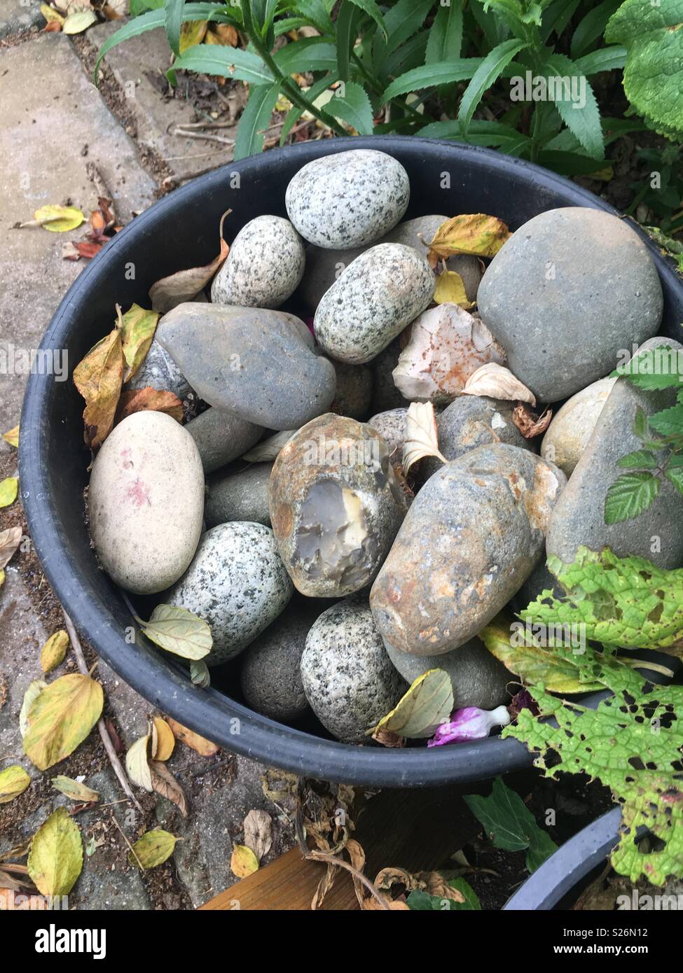 Bucket of pebbles Stock Photo - Alamy