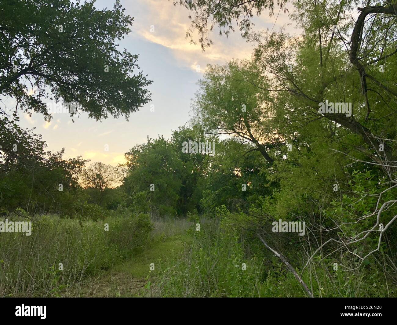 Lighted trail hi-res stock photography and images - Alamy