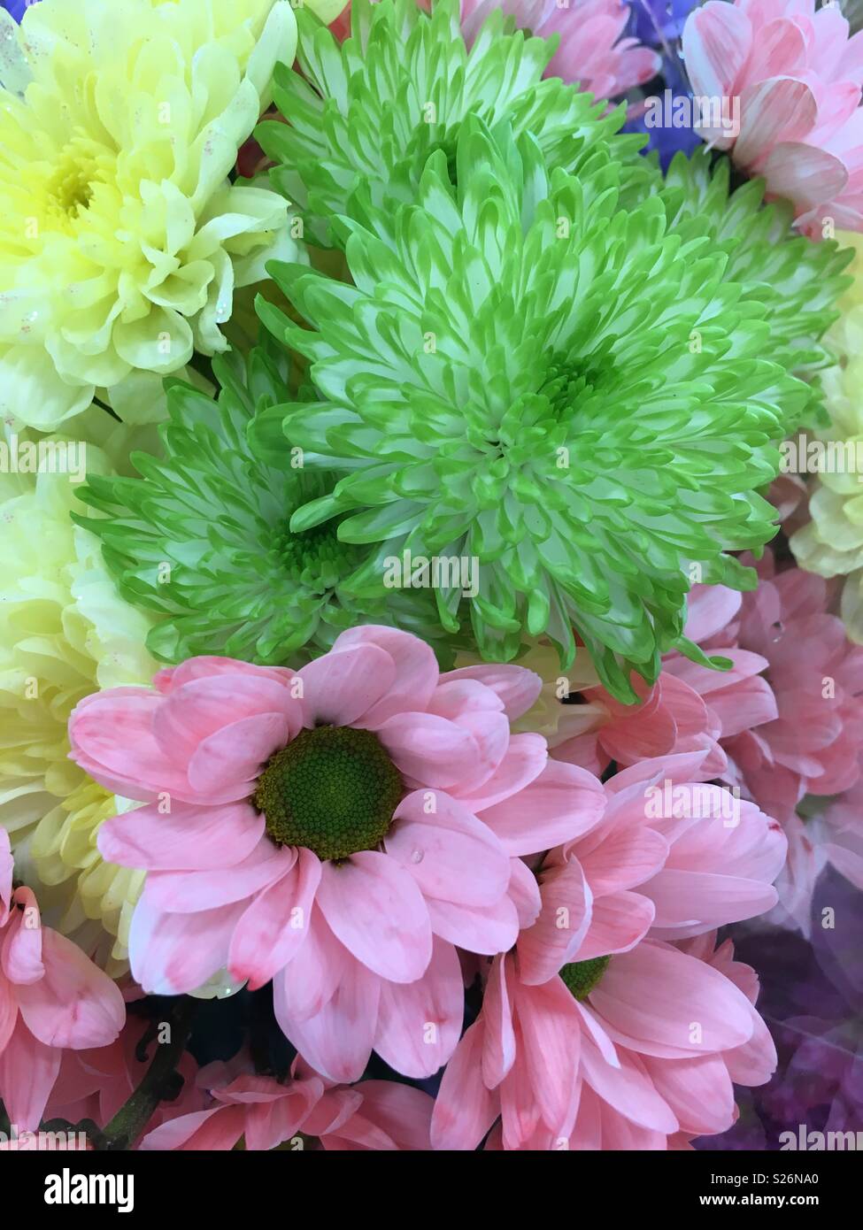 Pastel mixed hi-res stock photography and images - Alamy