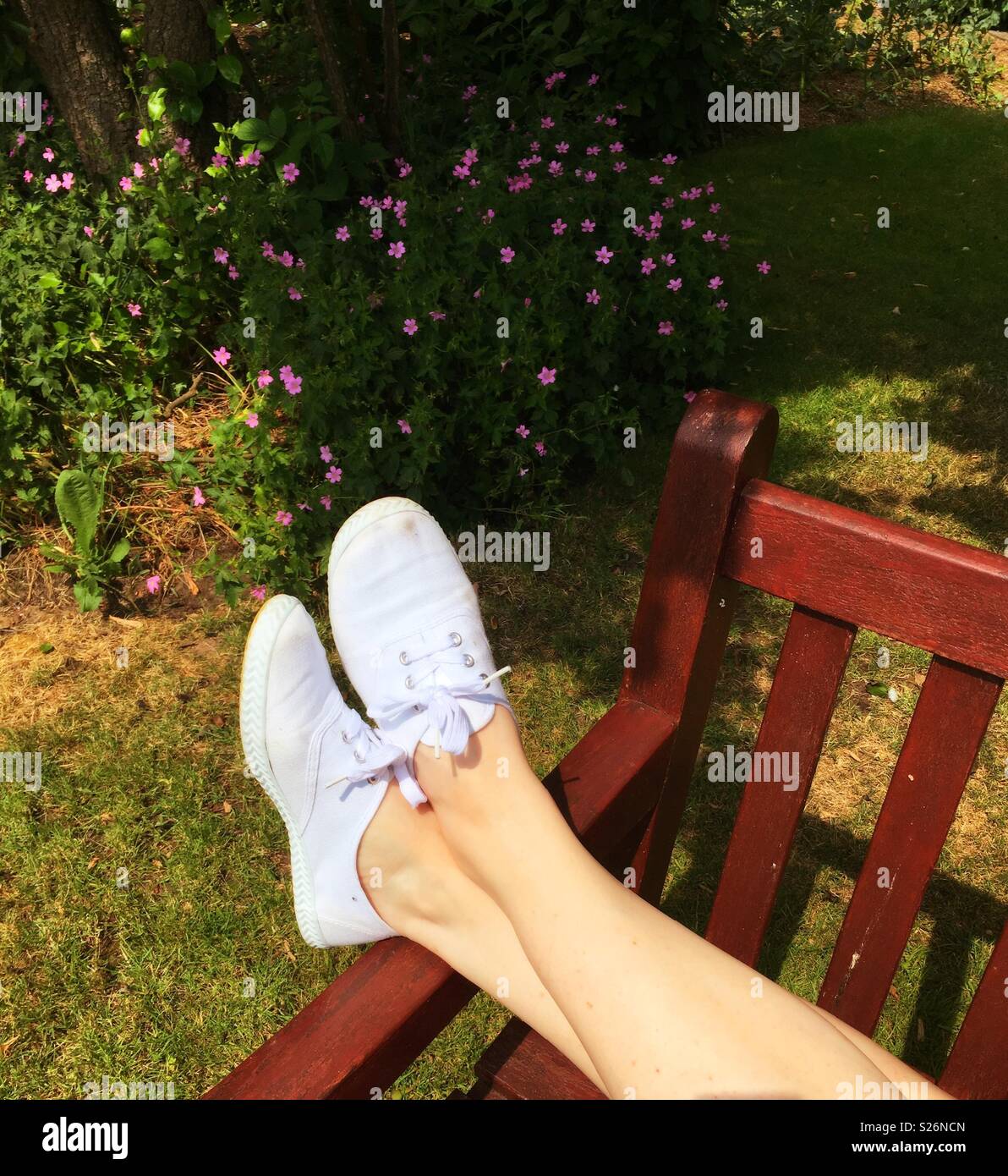 Sunbathing on a bench Stock Photo - Alamy