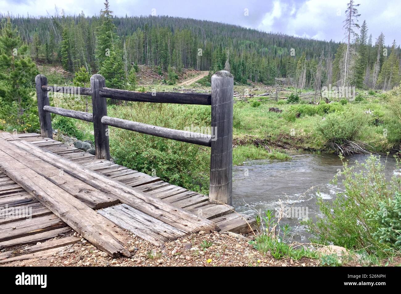 Old wooden bridge in wilderness at State Forest State Park in Colorado ...
