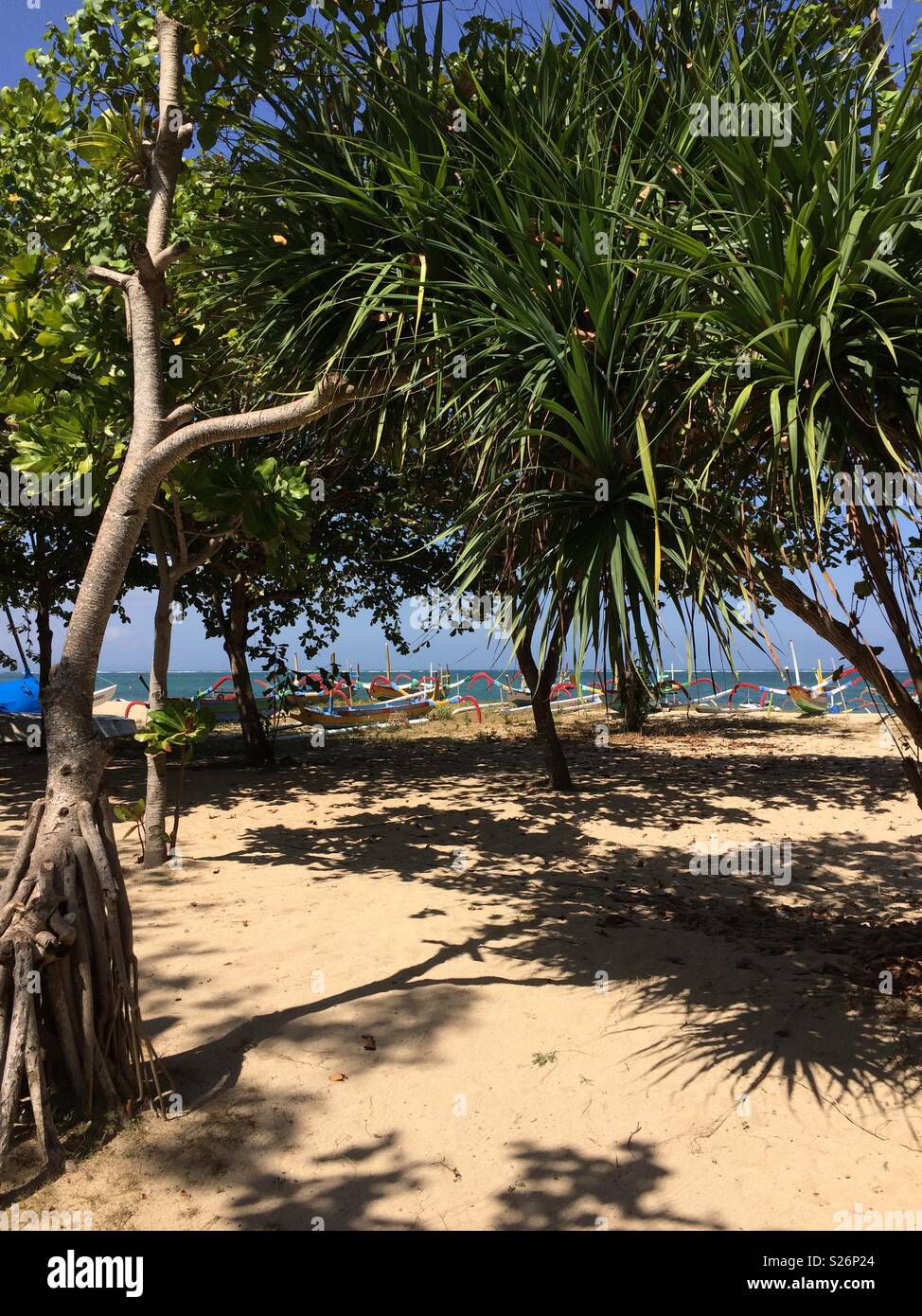 Pandanus and beach Stock Photo - Alamy