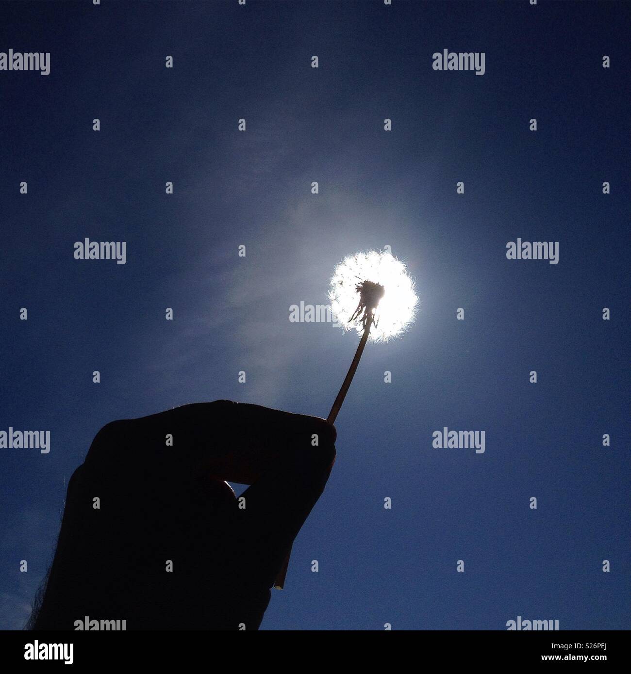 Sunlight sun sunshine sunny hi-res stock photography and images - Alamy