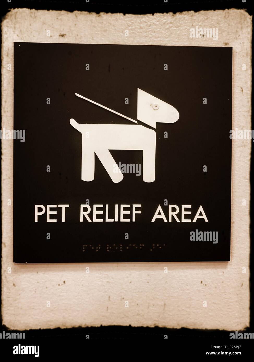 Pet relief area hi-res stock photography and images - Alamy