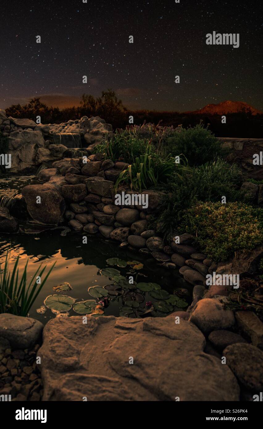 Pond moonlight hi-res stock photography and images - Alamy
