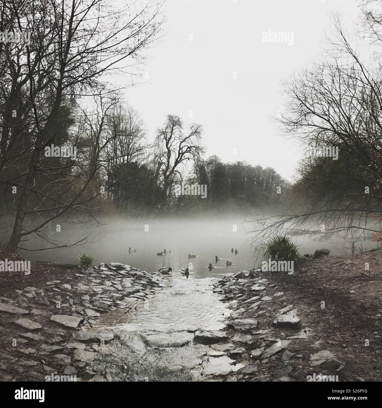 Himley hall hi-res stock photography and images - Alamy