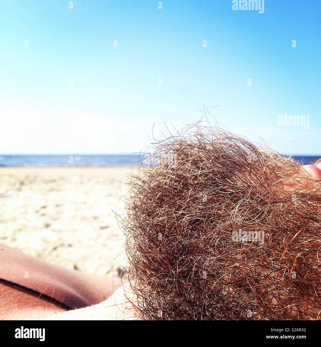 Beards hipster hi-res stock photography and images - Alamy