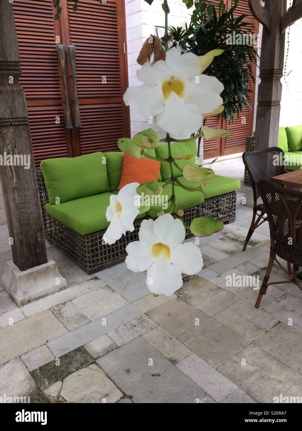 Flower and seating Stock Photo - Alamy