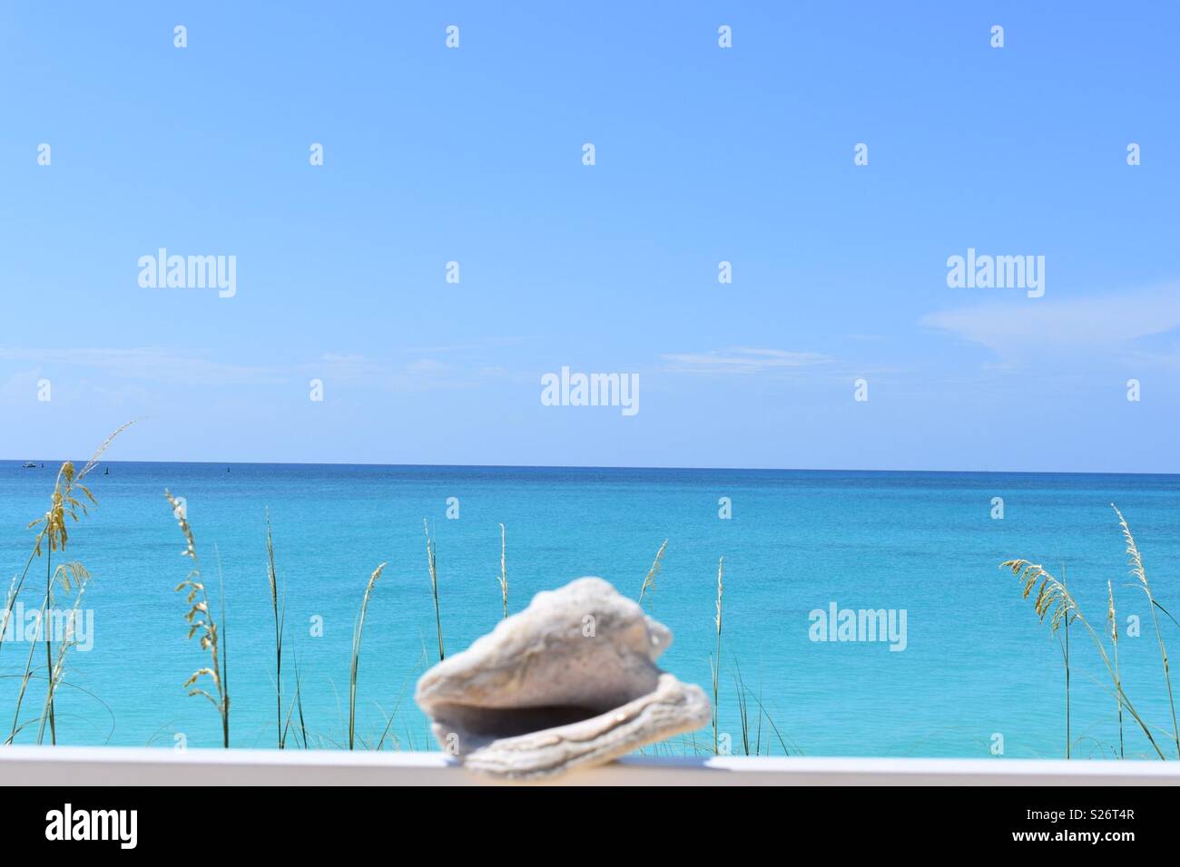 Bimini beach hi-res stock photography and images - Alamy