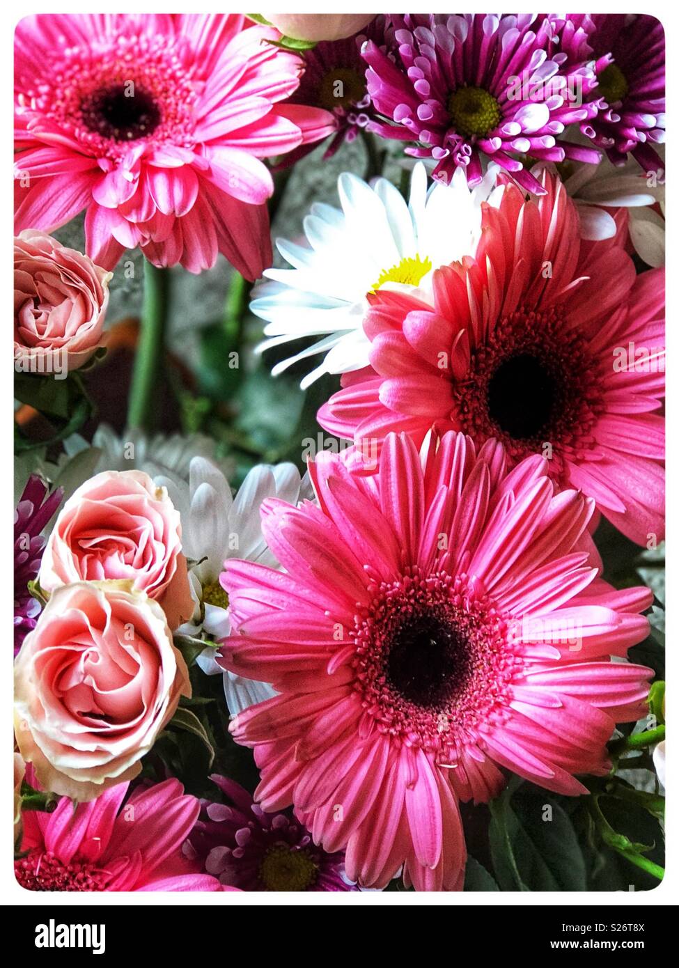 Pretty pink flowers Stock Photo - Alamy