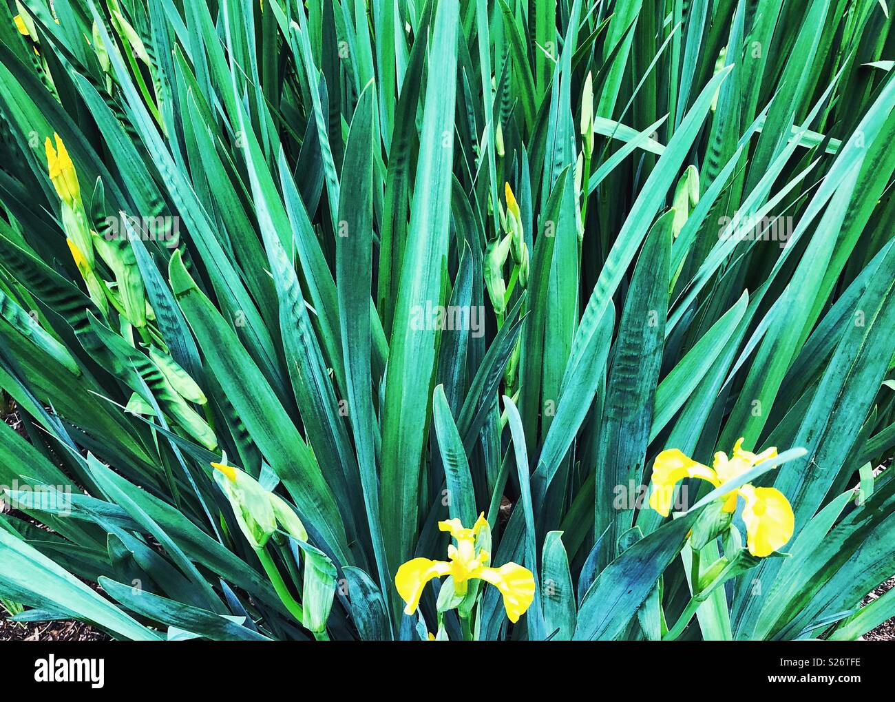 Strong explosion hi-res stock photography and images - Alamy