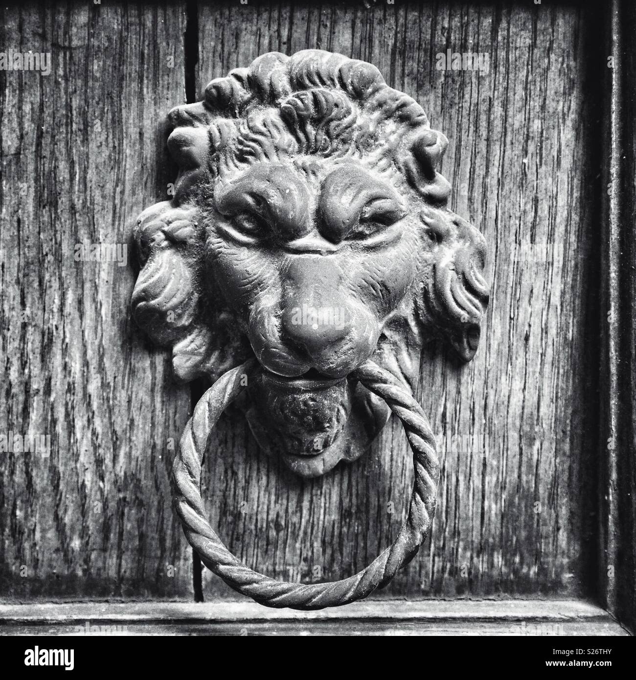 Iron lions head hi-res stock photography and images - Alamy
