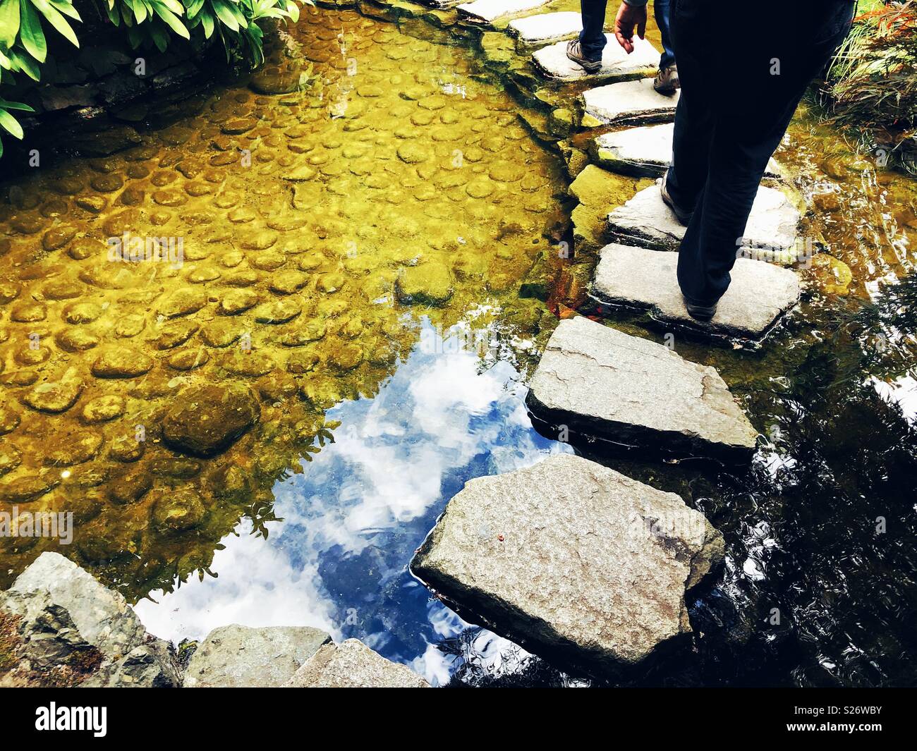 Shallow pond hi-res stock photography and images - Alamy