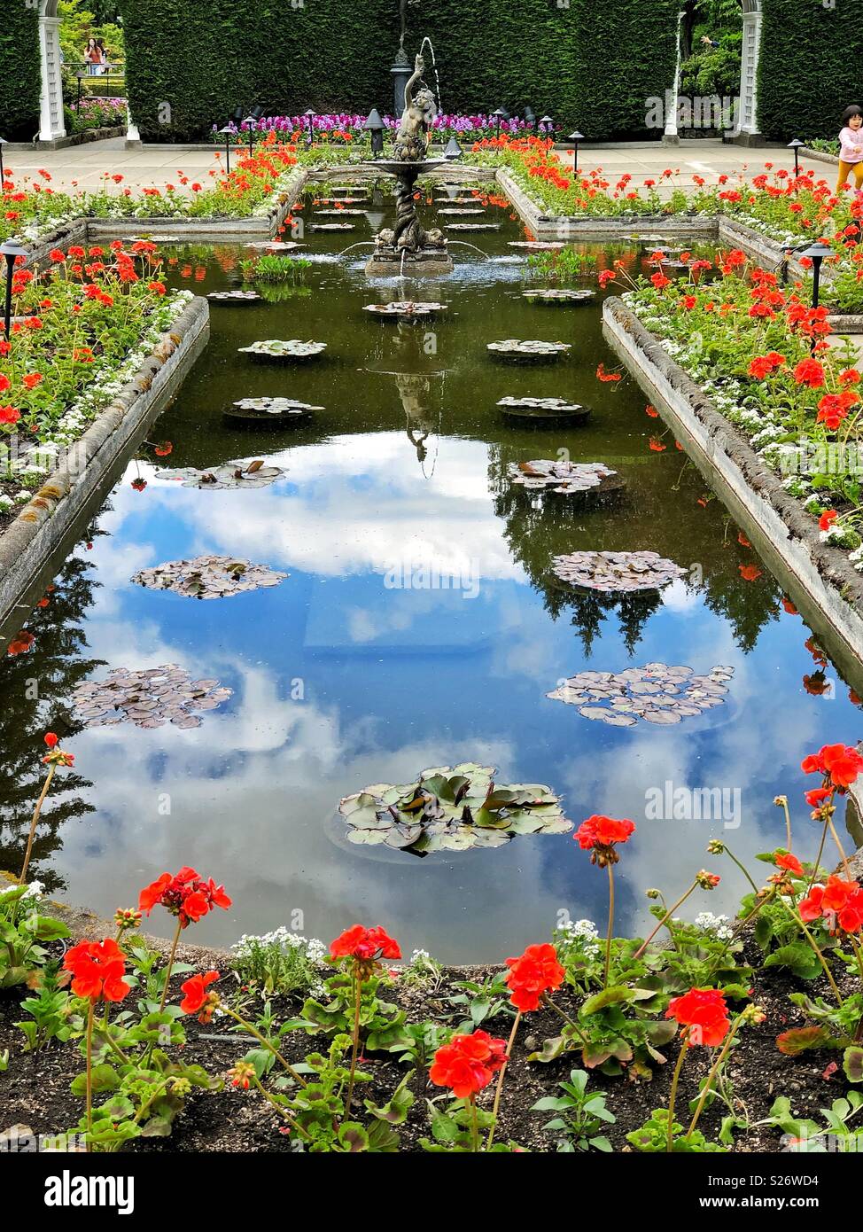 Red geraniums surround formal architectural pond of Italian garden with ...
