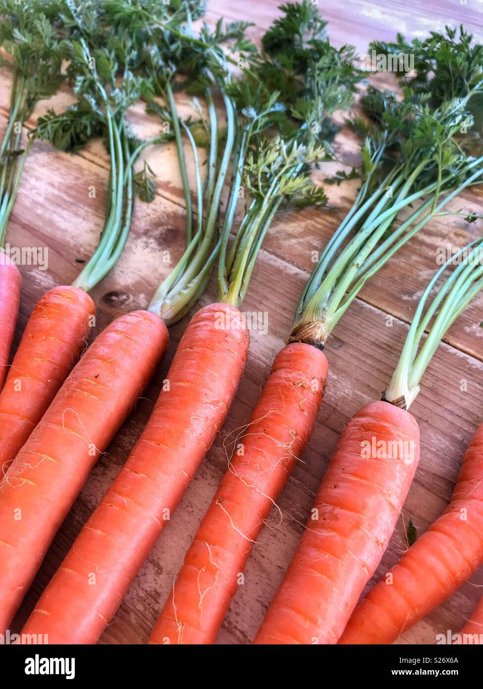 Fresh produce, Organic carrots with carrot greens, high angle view ...
