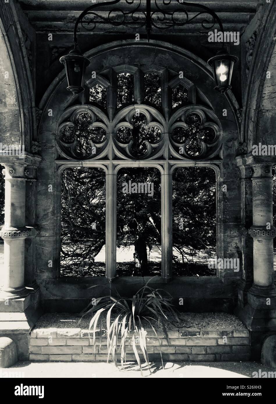 Gothic portico hi-res stock photography and images - Alamy