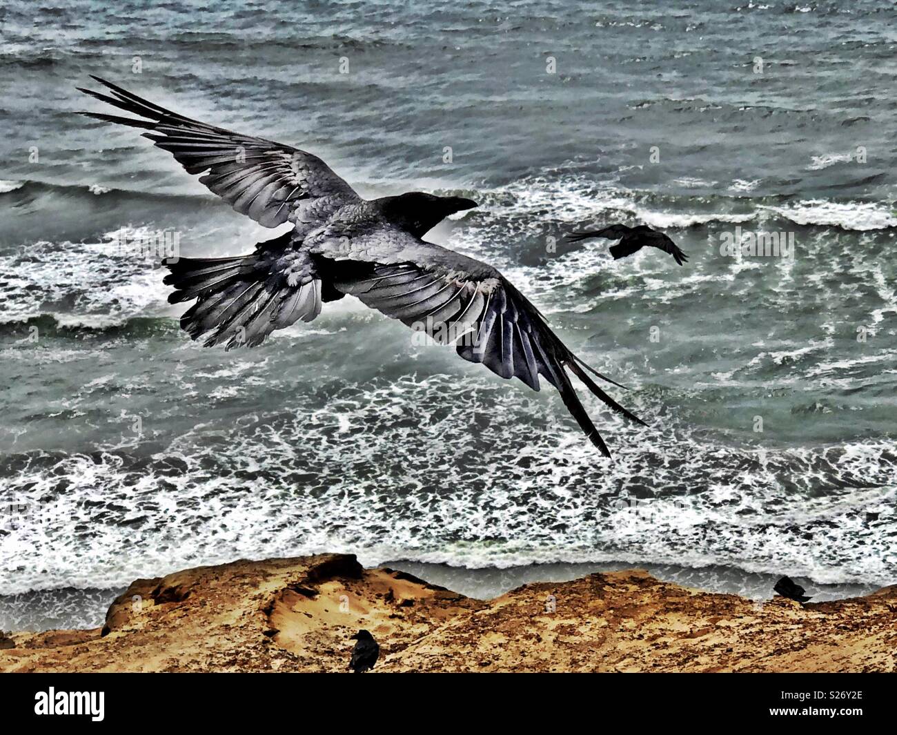 Wind updrafts hi-res stock photography and images - Alamy