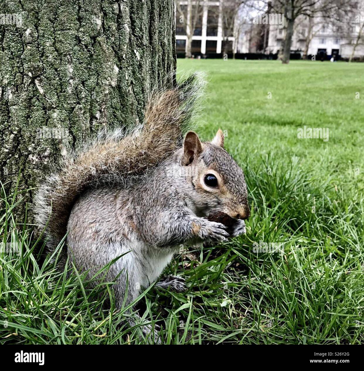 Crunching hi-res stock photography and images - Alamy