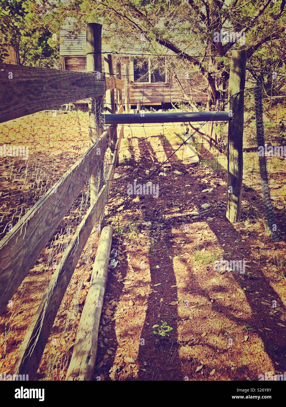 Old rustic cabin in Texas Stock Photo - Alamy