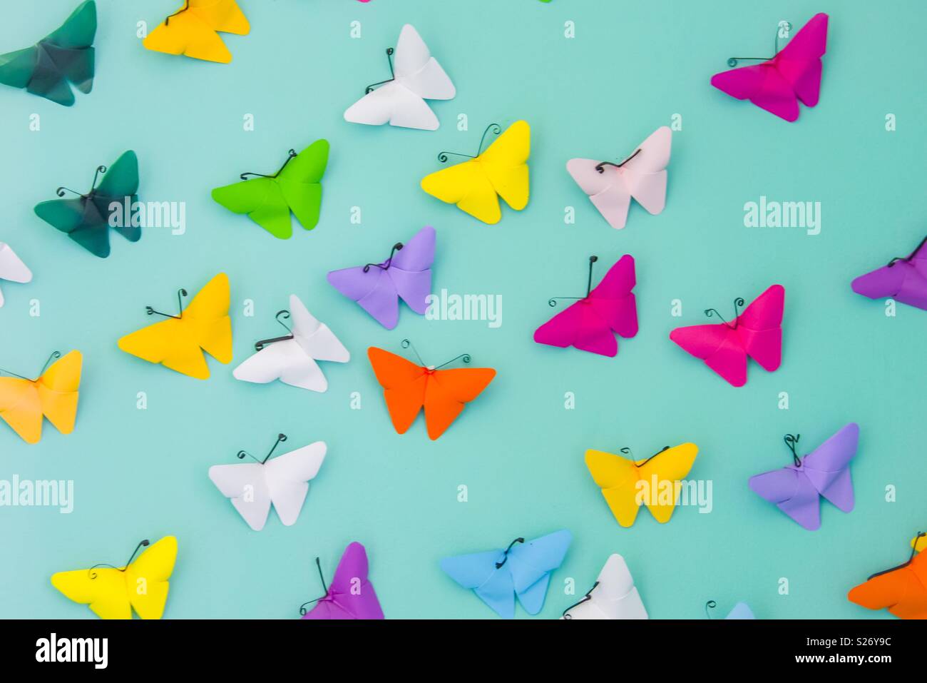 Multiple butterflies hi-res stock photography and images - Alamy