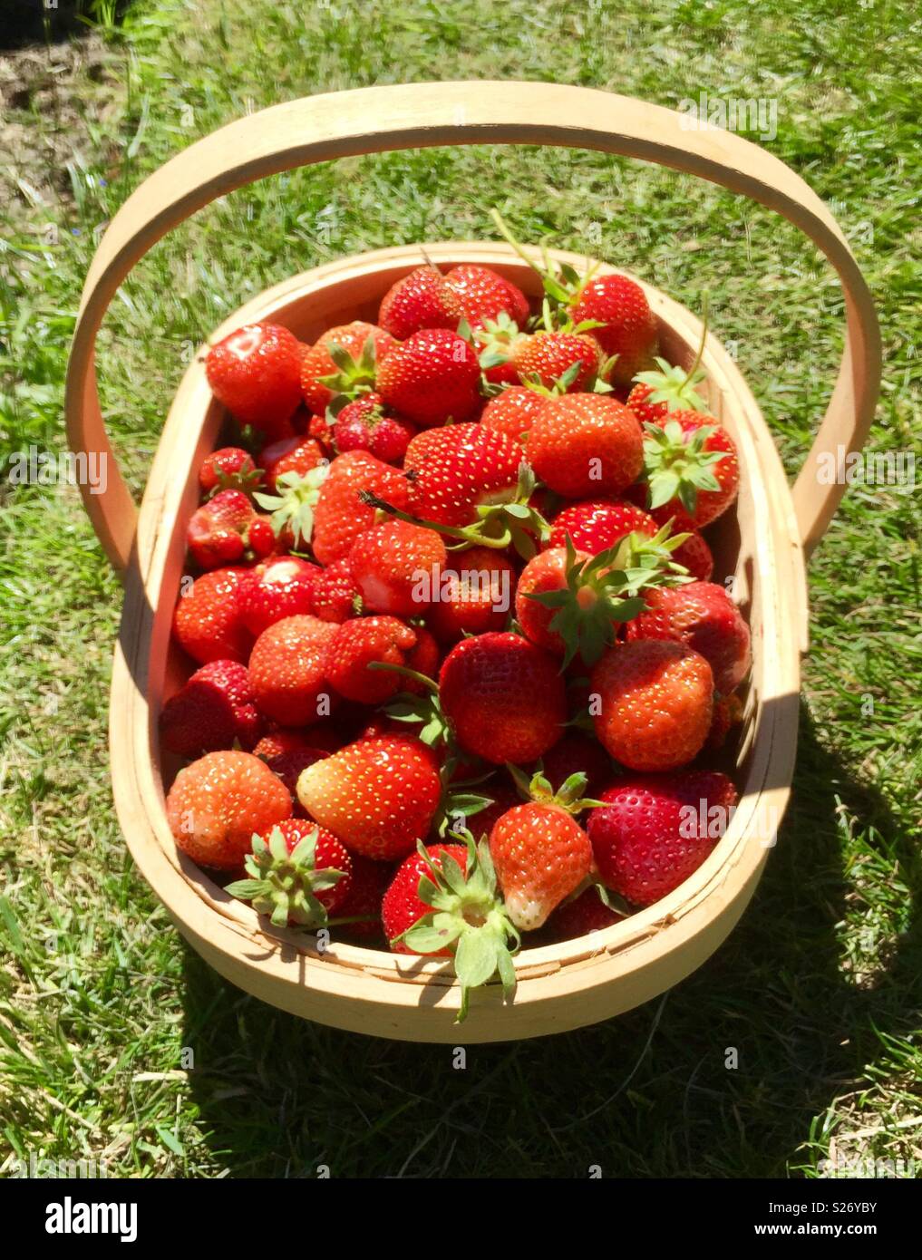 Basket with strawberry hi-res stock photography and images - Alamy