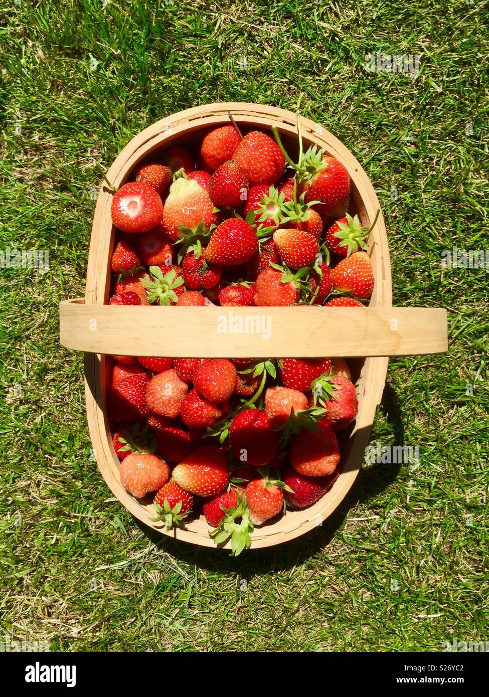 Basket with strawberry hi-res stock photography and images - Alamy