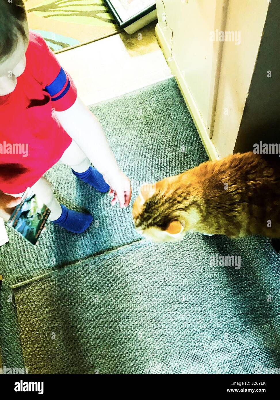 Little Boy & Cat Stock Photo - Alamy