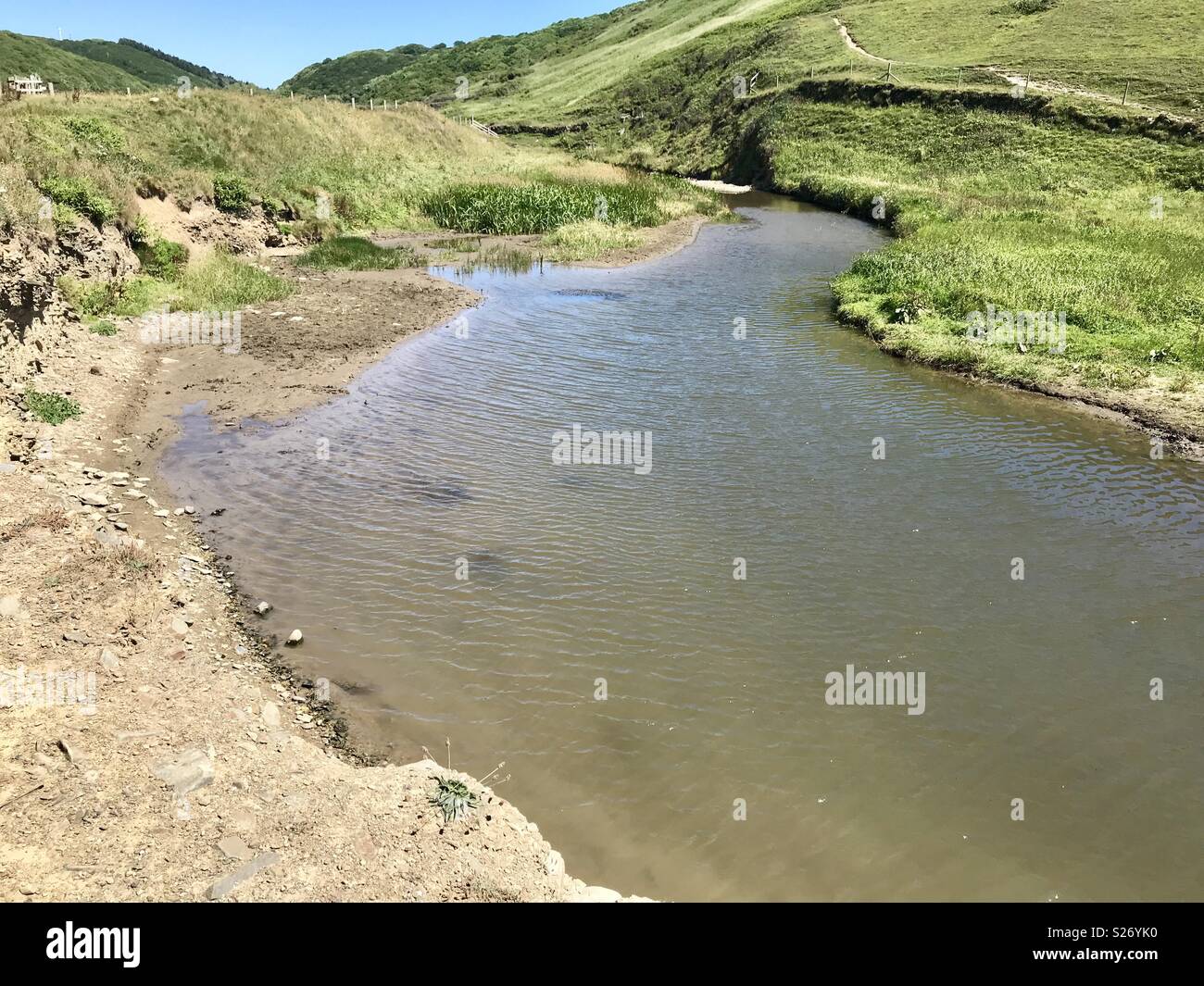Stream at duck pool hi-res stock photography and images - Alamy