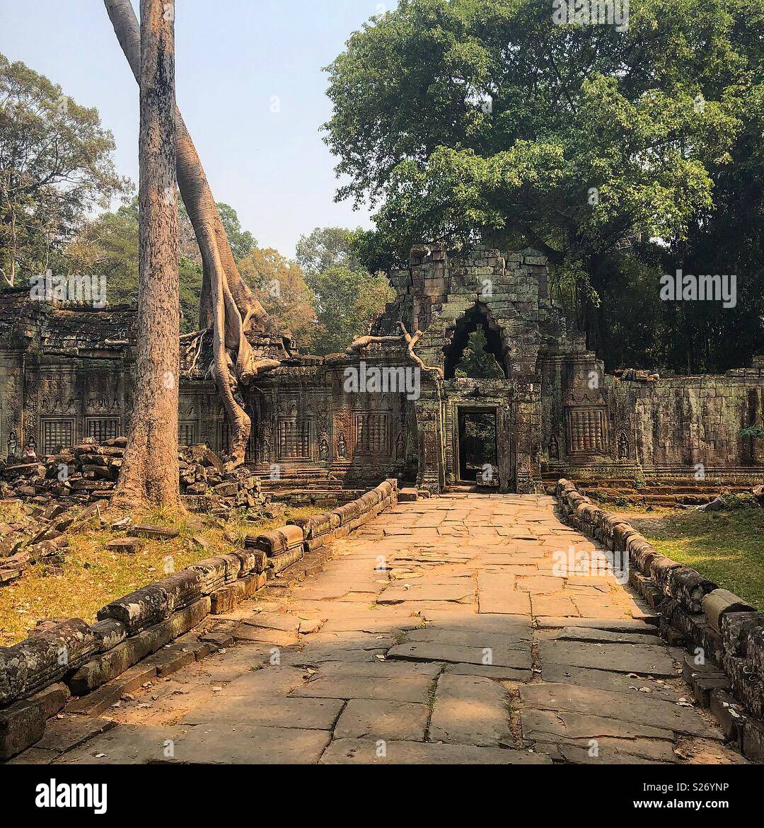 Tall temples hi-res stock photography and images - Alamy