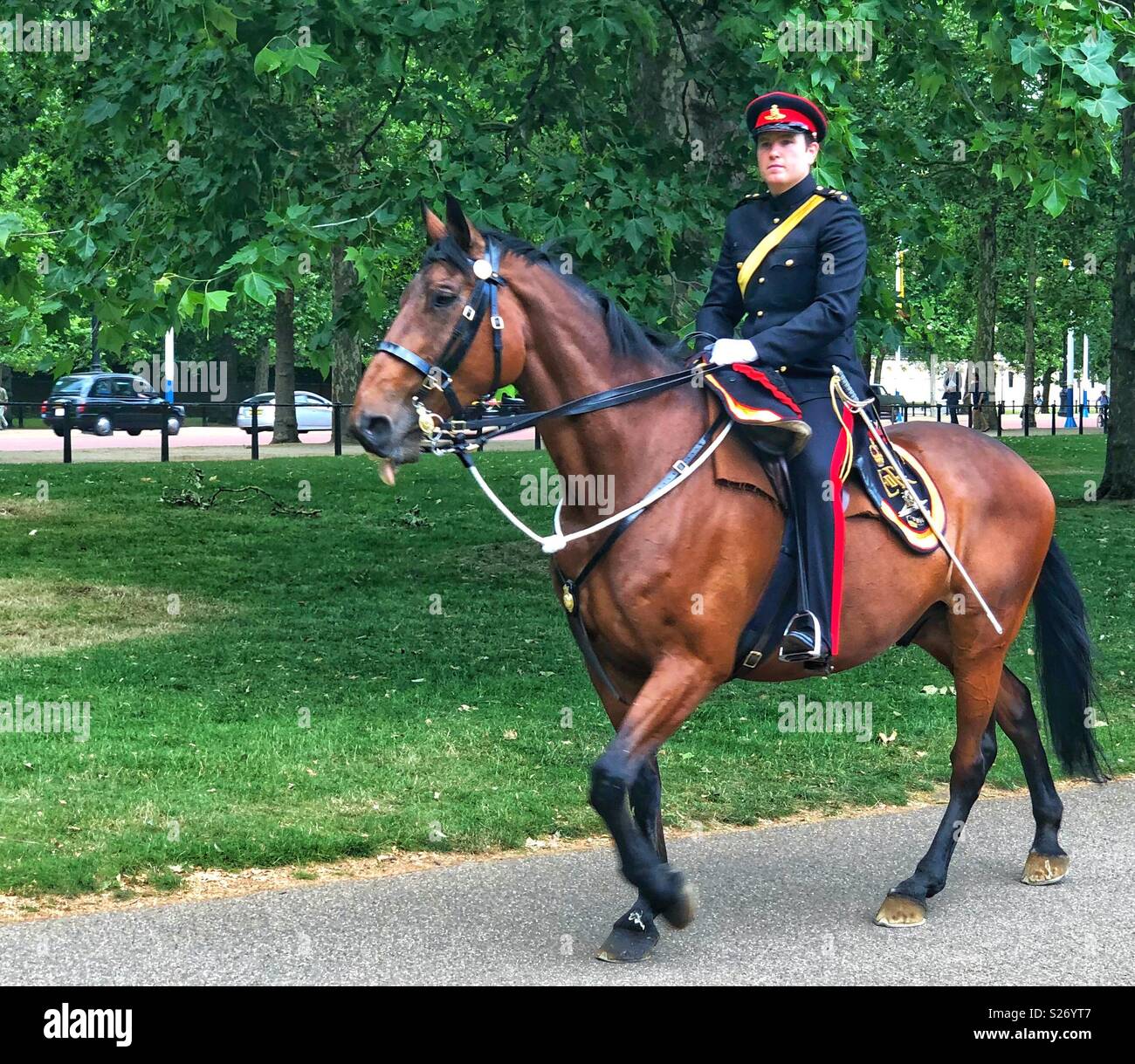 Royal horse with guard riding in London’s St James Park Stock Photo - Alamy