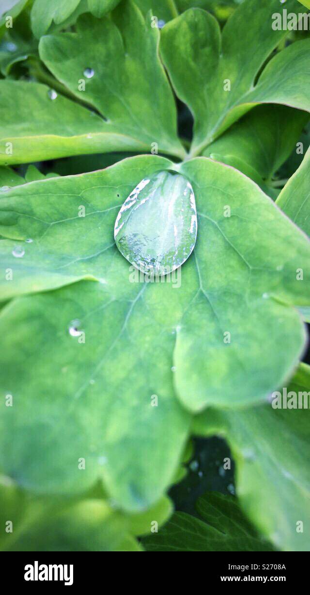 Just a little drop Stock Photo - Alamy
