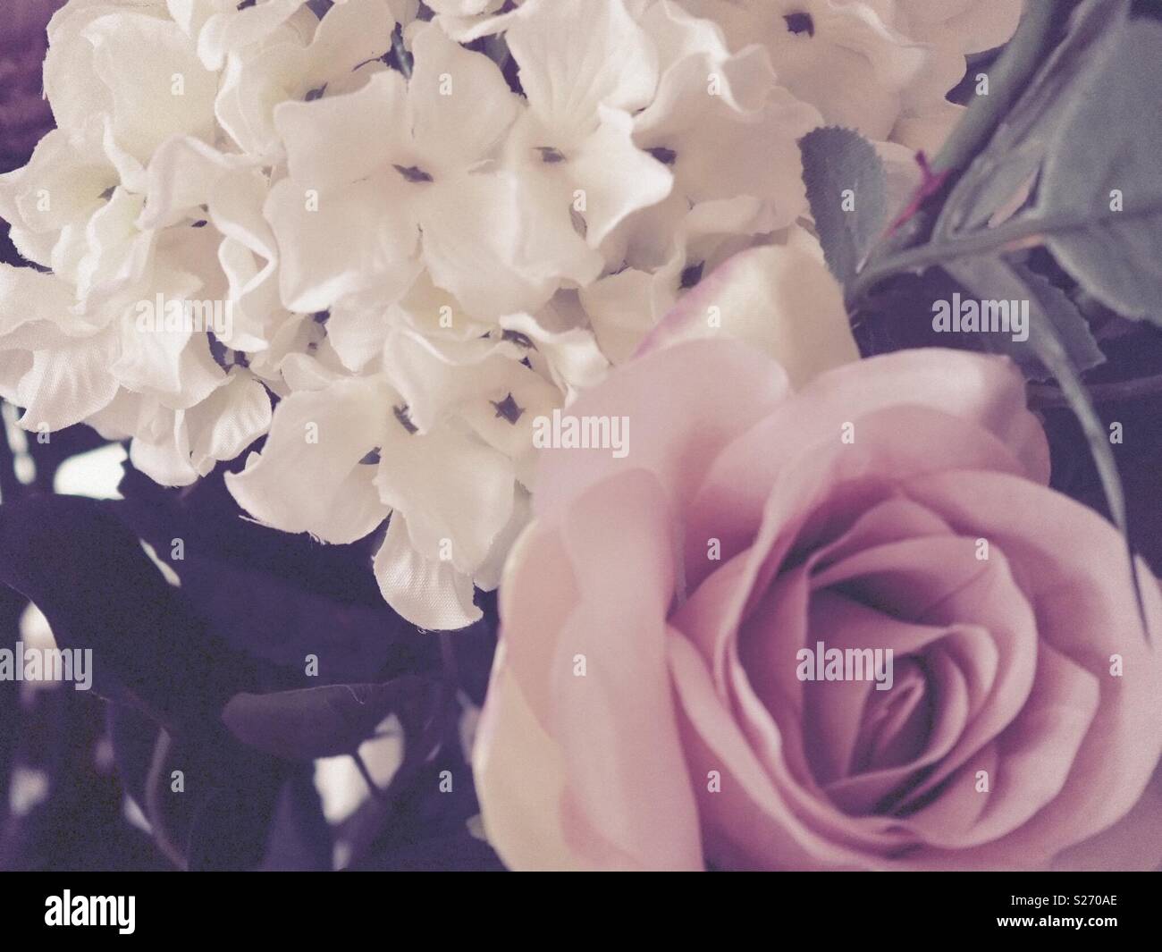 Pink roses, vintage rose, flowers, pretty Stock Photo - Alamy