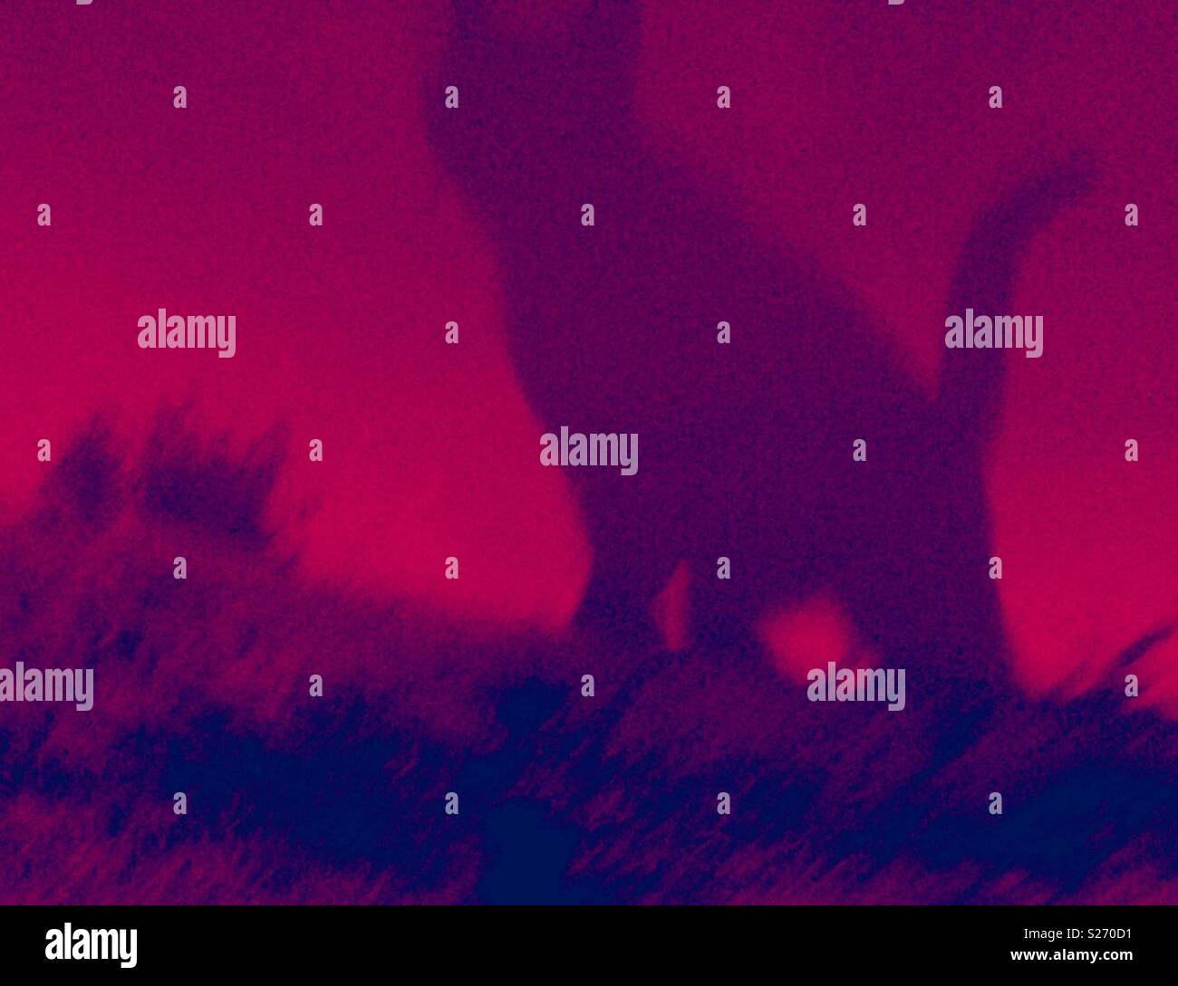 Red tinted silhouette of a cat Stock Photo - Alamy