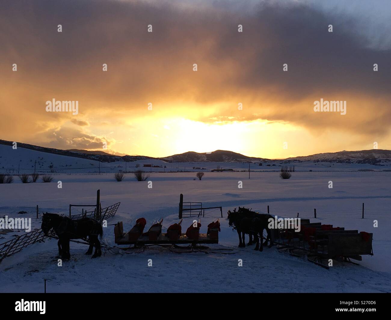 Horse drawn sleigh at sunset in Steamboat Springs, Colorado Stock Photo ...