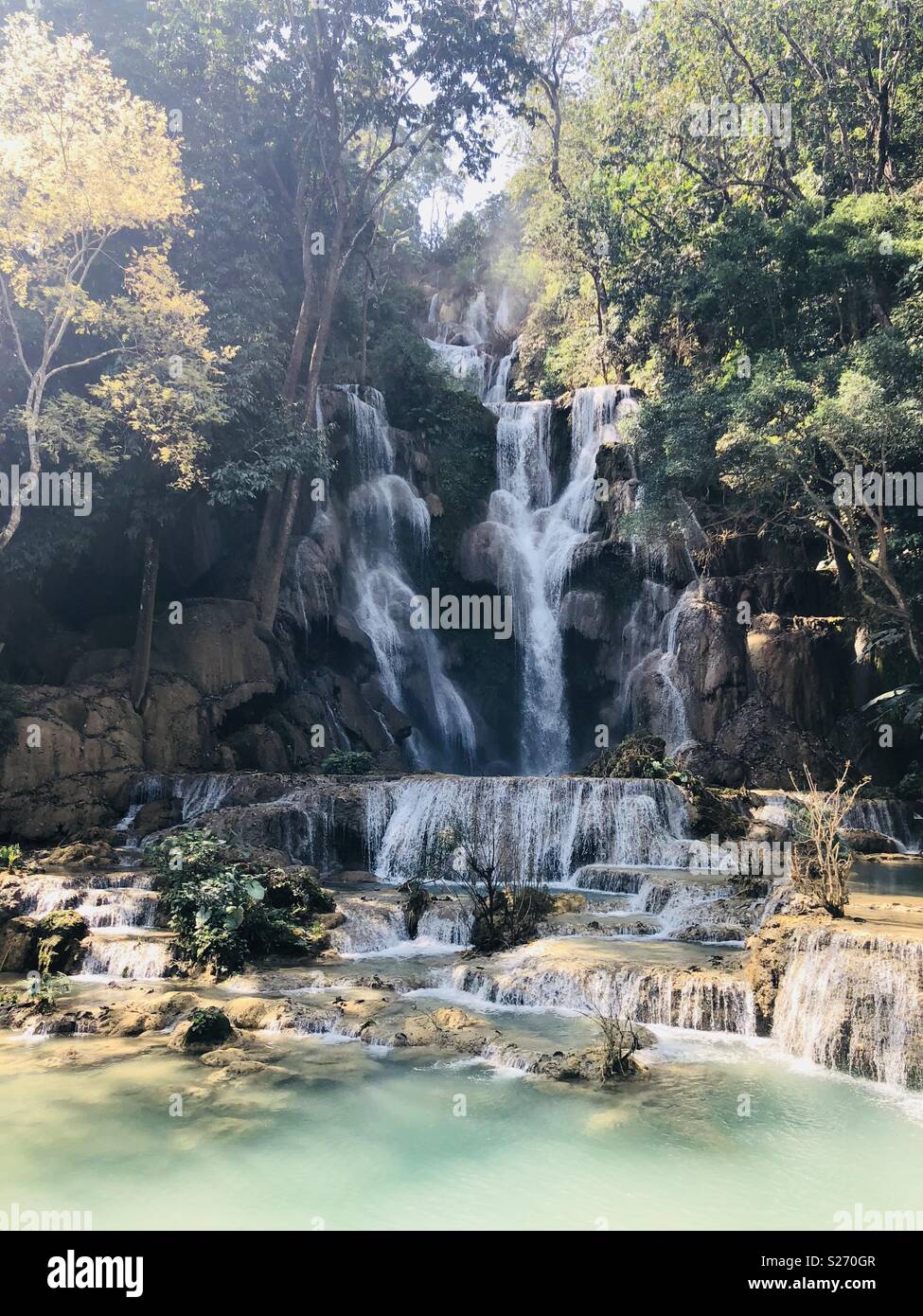 All natural jungle pool hi-res stock photography and images - Alamy