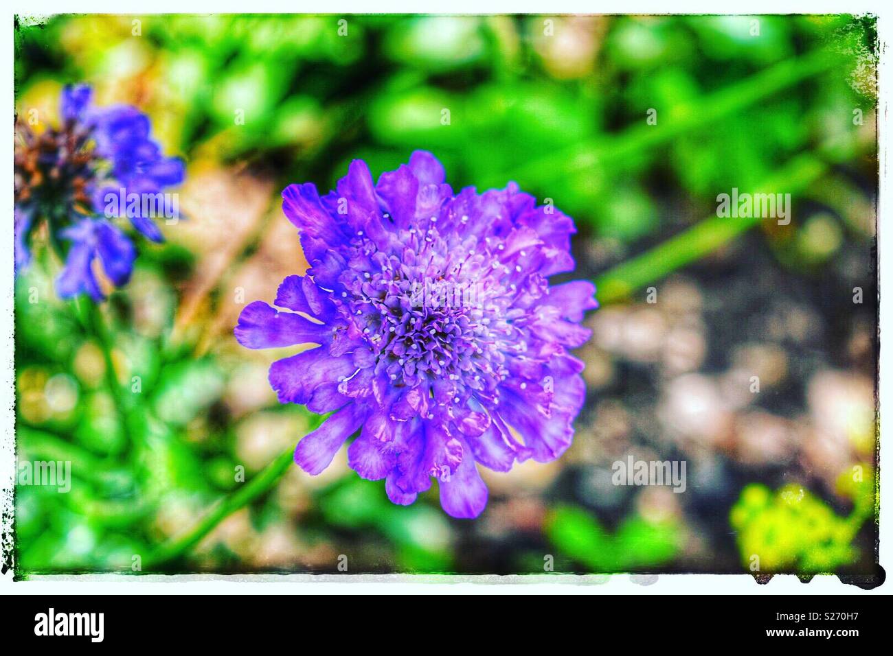 Blight blue hi-res stock photography and images - Alamy