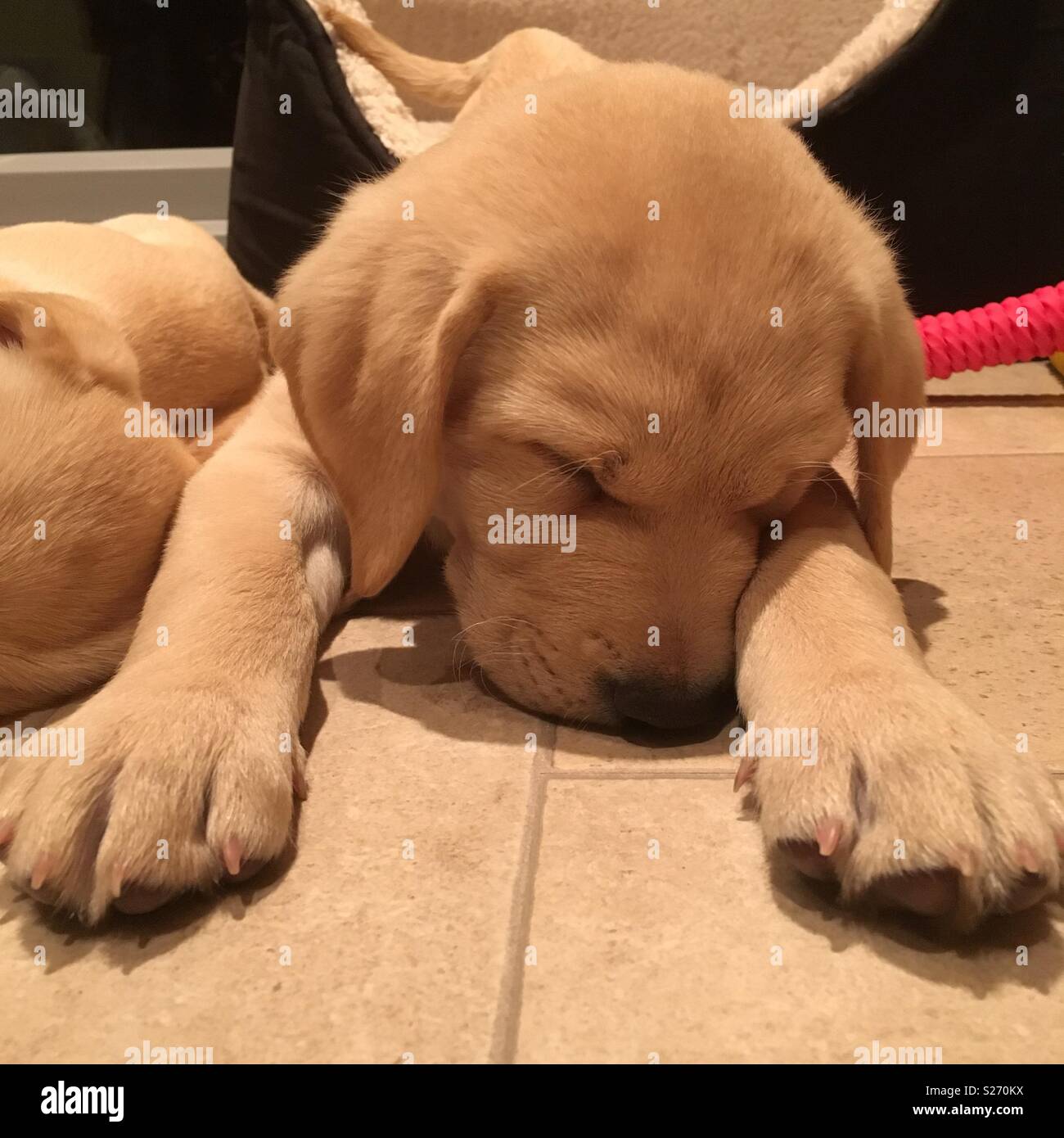 Worn out and tired hi-res stock photography and images - Alamy