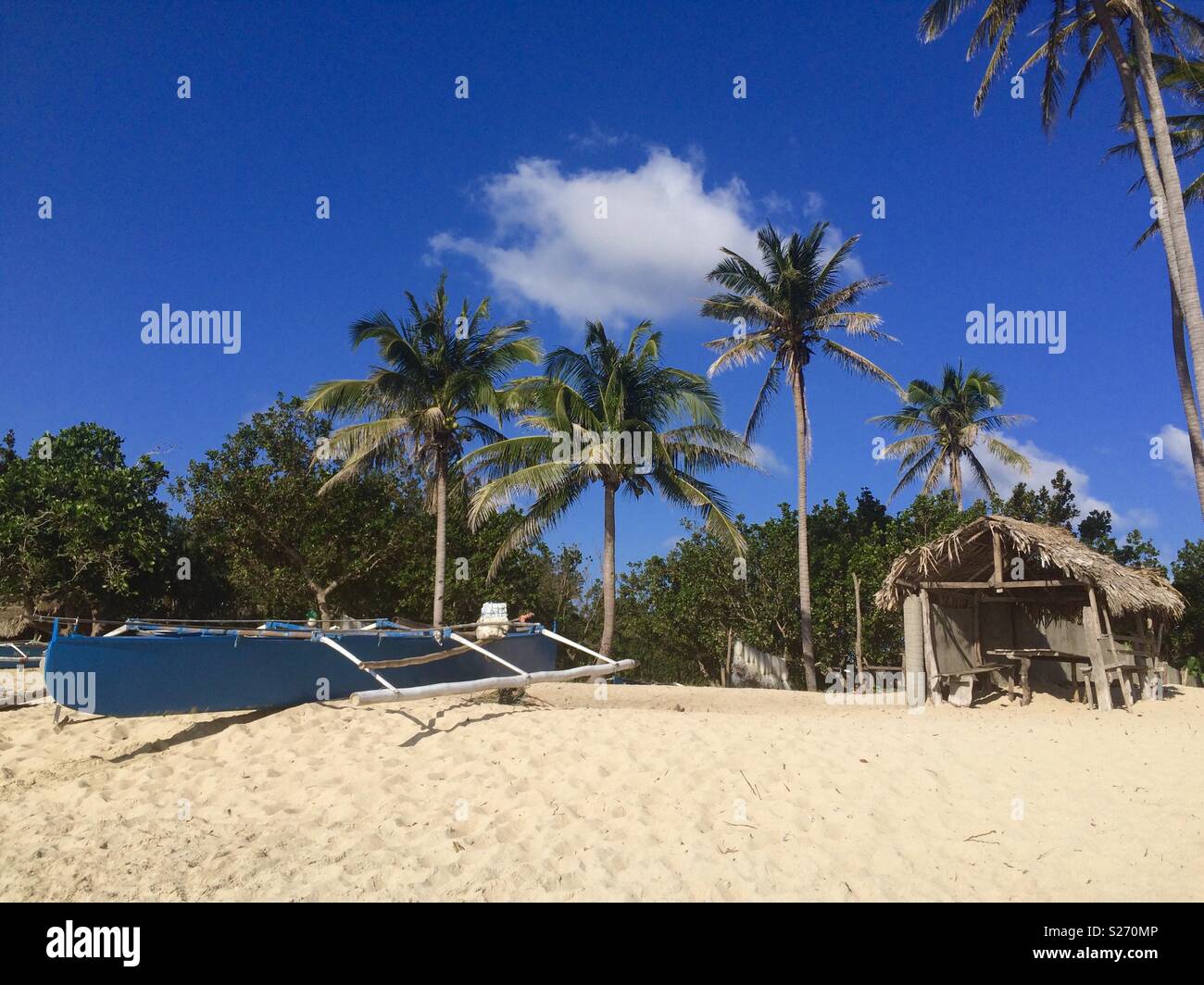 Palm tree beach hut and boat Stock Photo - Alamy