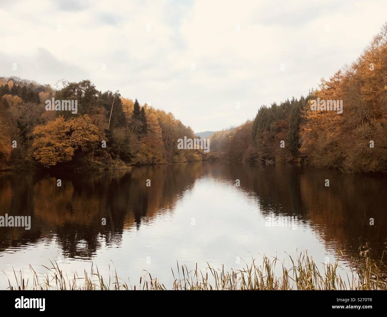 Reflective moment by water hi-res stock photography and images - Alamy