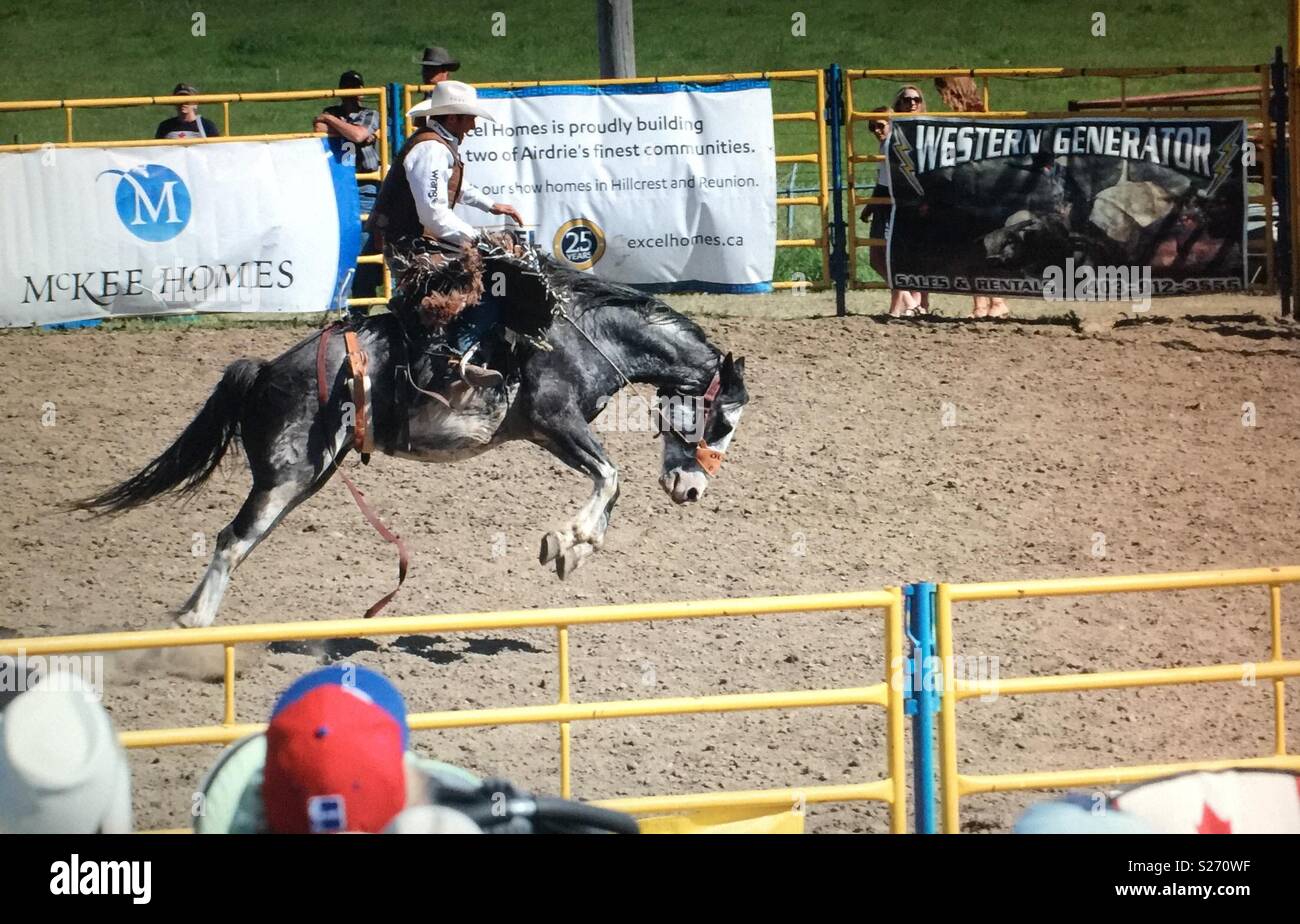 Saddle bronc riding hi-res stock photography and images - Alamy