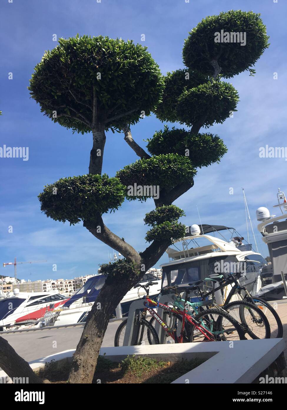 Layered tree hi-res stock photography and images - Alamy