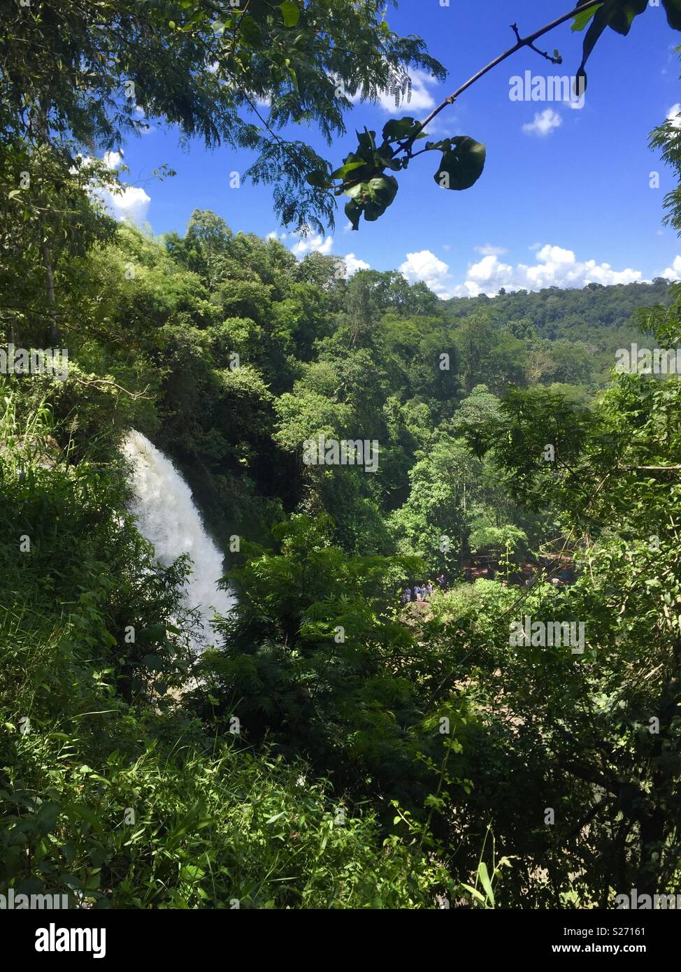Jungle water hi-res stock photography and images - Alamy
