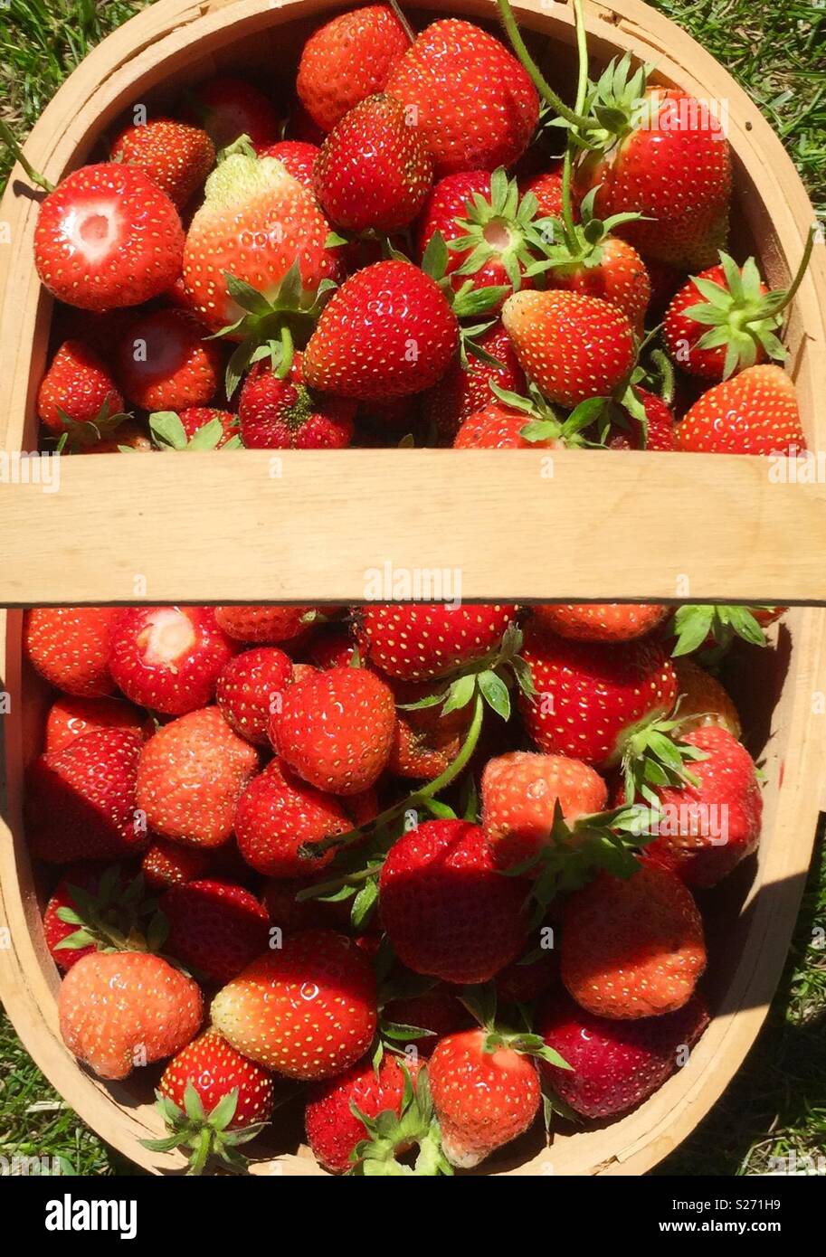 Fruit punnet hi-res stock photography and images - Alamy