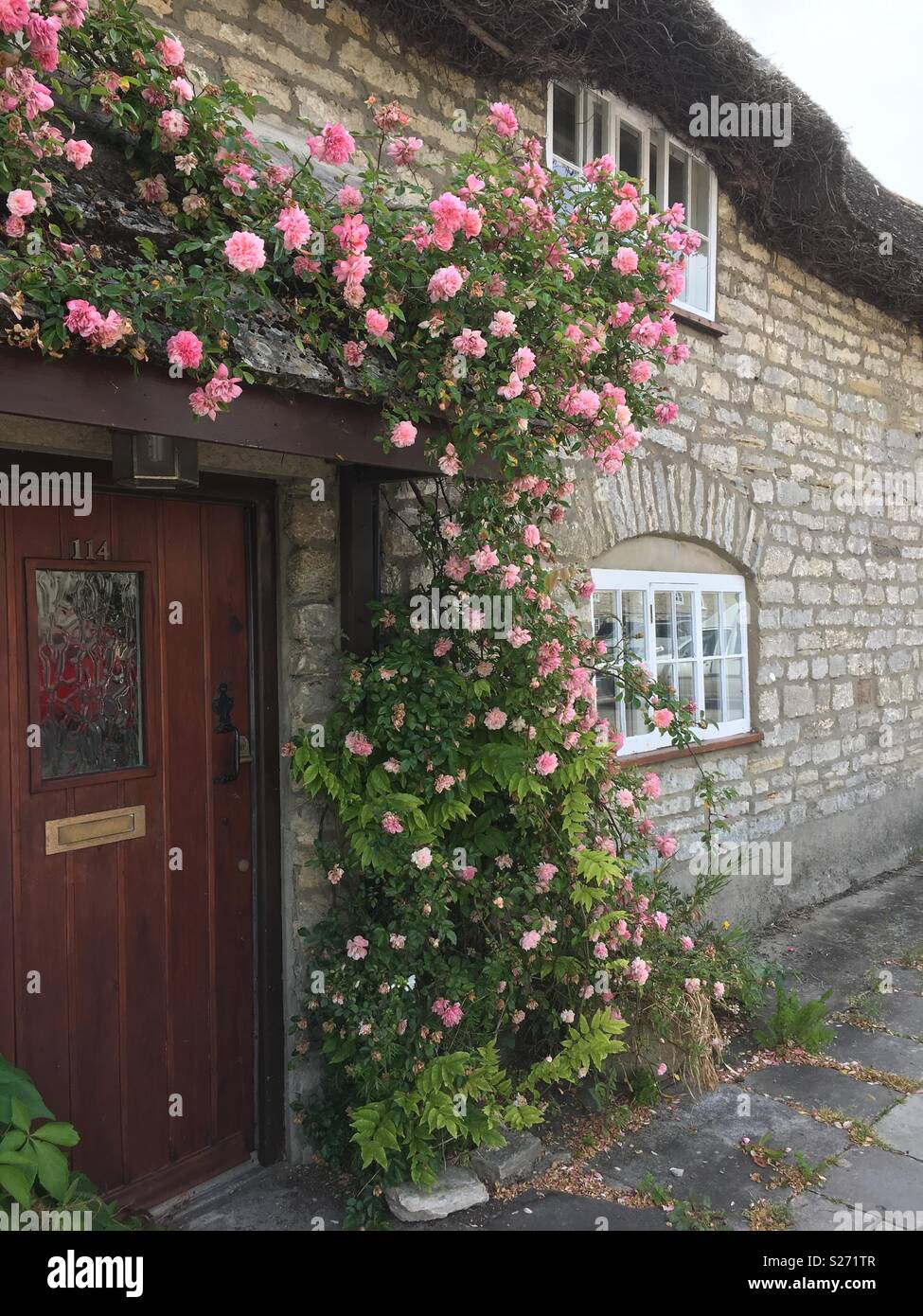 Pink climbing rose on thatched cottage Stock Photo - Alamy