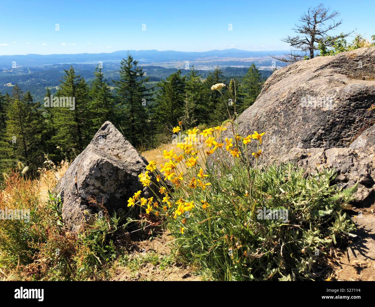 Spencer butte hi-res stock photography and images - Alamy